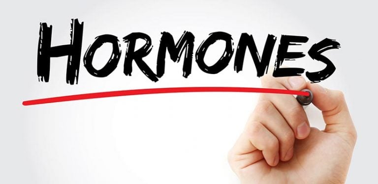 Everything You Need To Know About Hormone Disorders