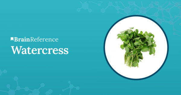 Watercress - Benefits, Uses, and Side Effects