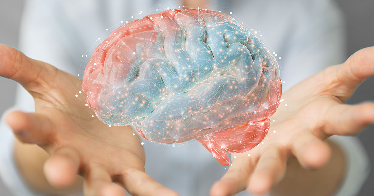 What Part Of The Brain Controls Balance Answered 